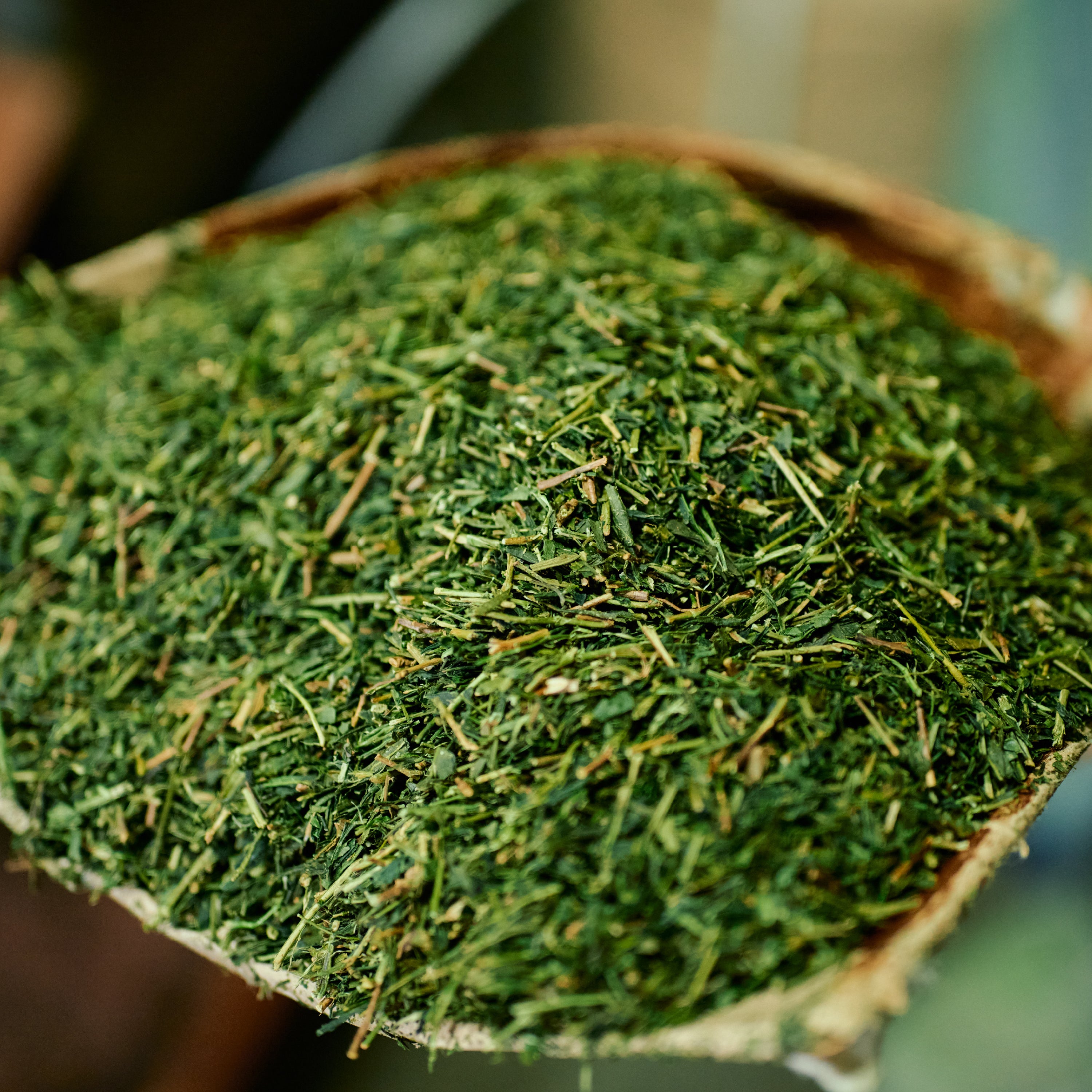 Hojicha powder – Kyo Hayashiya