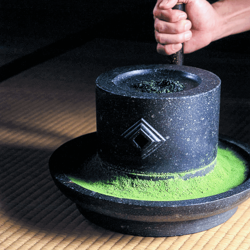Matcha – Kyo Hayashiya